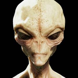 Regions Of The Abdomen by Science Photo Library