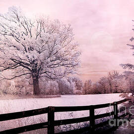 Fairytale Fantasy Trees Surreal Dreamy Twinkling Sparkling Fantasy Nature Trees Home Decor ...