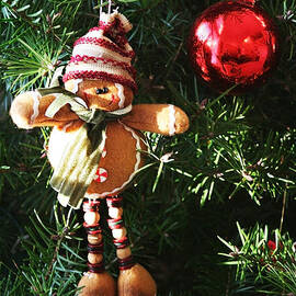 Christmas Card Photograph by Masha Batkova - Fine Art America