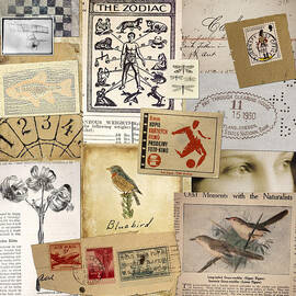 Scrapbook Page Number 1 Photograph by Carol Leigh - Fine Art America