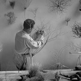 Eames Art for Sale - Fine Art America