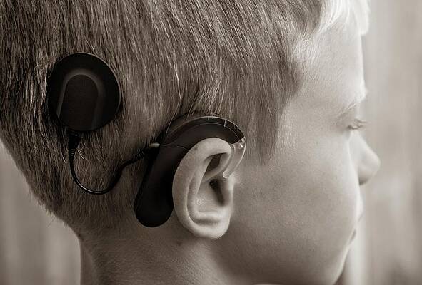 Cochlear Art for Sale - Fine Art America