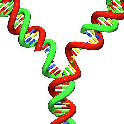 Replication Art for Sale - Fine Art America