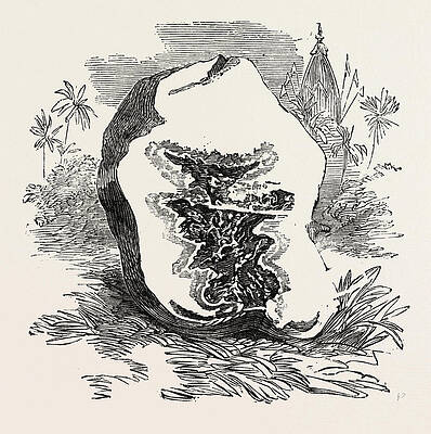 Affected Drawings for Sale - Fine Art America