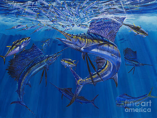 Halibut Paintings for Sale - Fine Art America