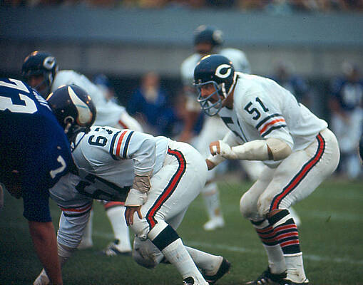 Butkus Art - Fine Art America