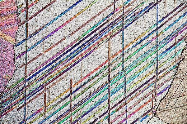 Metamorphism Art for Sale - Fine Art America