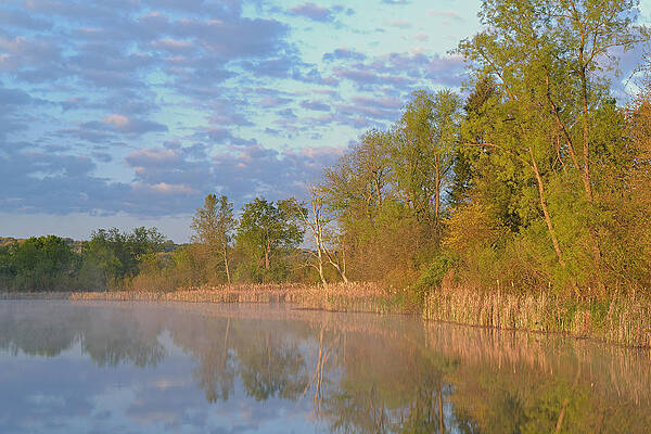 Whitford Art - Pixels