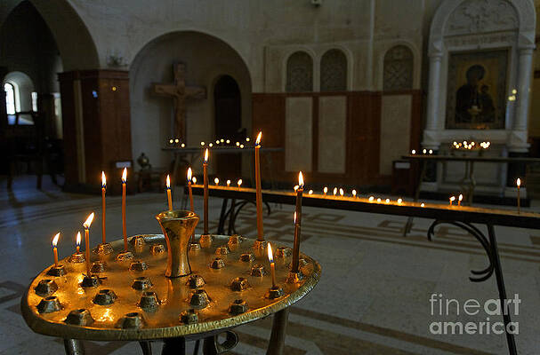 Sameba Art for Sale - Fine Art America