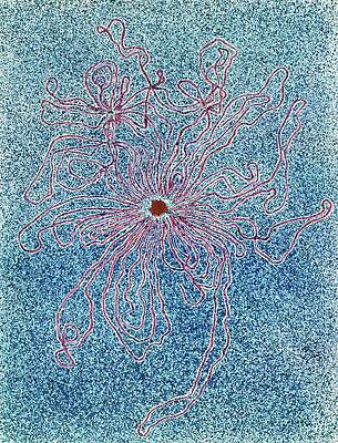 T4 Art for Sale - Fine Art America