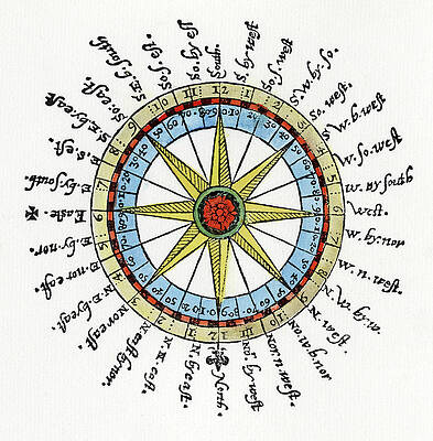 1596 Art for Sale - Fine Art America