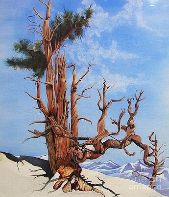 Dan Riddle - Art for Sale | Fine Art America