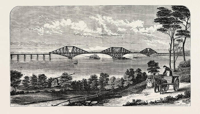 Firth Drawings - Fine Art America