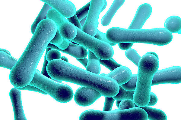 Diphtheria Photos for Sale - Fine Art America