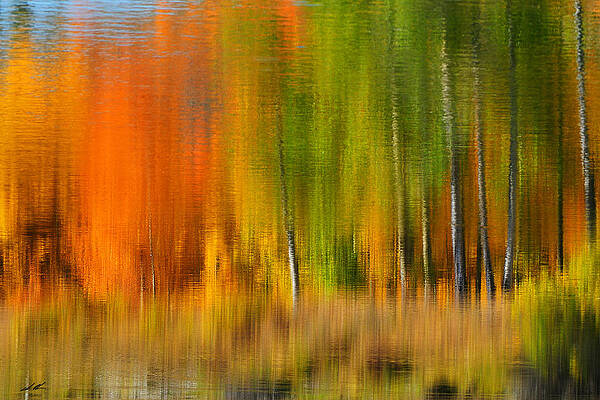 Balmer Art for Sale - Fine Art America