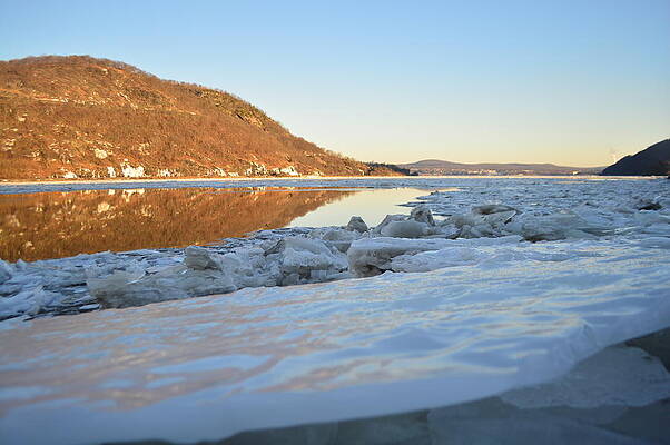 Tree Snail Art for Sale | Fine Art America