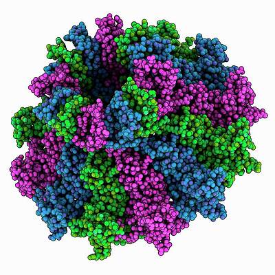 Phage Art for Sale - Pixels