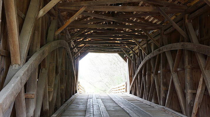 Irreplaceable Art for Sale - Fine Art America