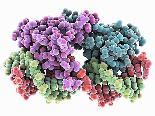 Repressed Art for Sale | Fine Art America