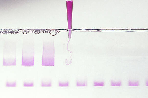 Loading Art - Pixels Merch