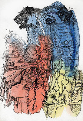 Lucid Drawings for Sale - Fine Art America