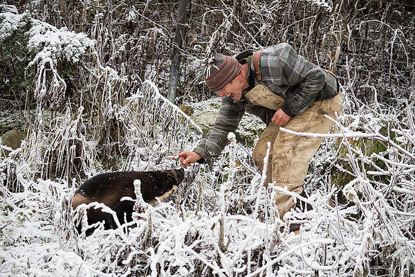 Gulo Art - Fine Art America