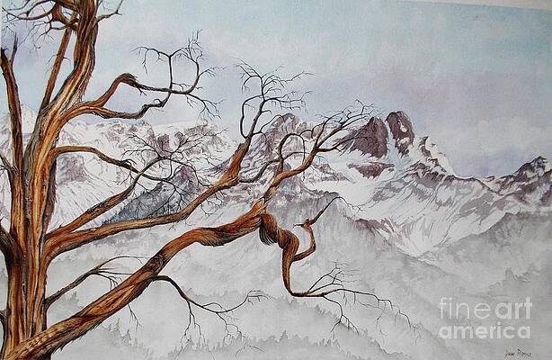 Dan Riddle - Art for Sale | Fine Art America