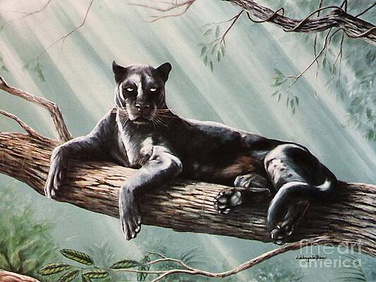 Didi Paintings for Sale - Fine Art America