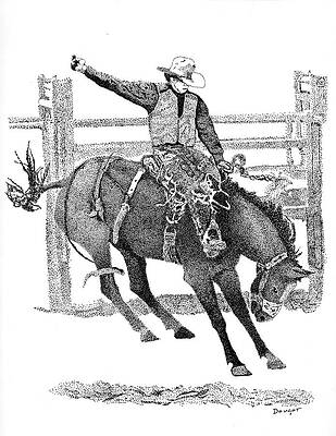 Bronc Drawings for Sale - Fine Art America