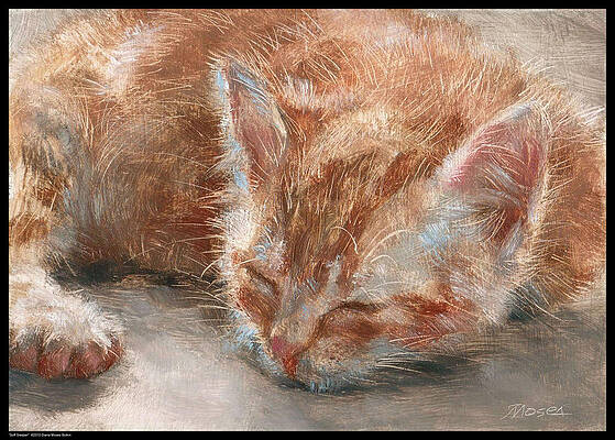 Sleeper Drawings for Sale - Fine Art America