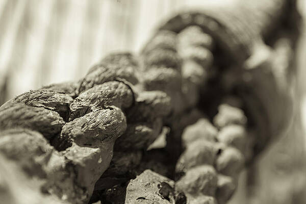 Splice Art for Sale | Fine Art America