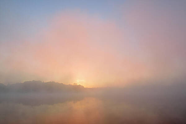 Whitford Art - Pixels