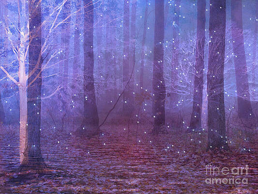 Twinkling Photos - Fine Art America