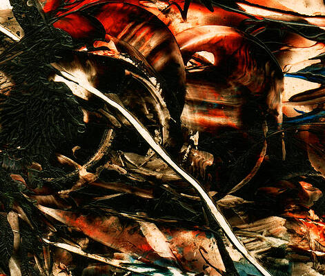 Vespid Art - Fine Art America