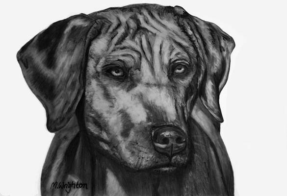 Dogs Paintings | Fine Art America