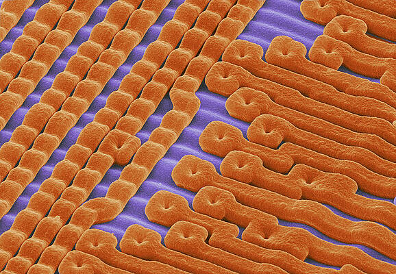 Microcircuit Art - Fine Art America