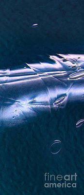 Defuse Art - Fine Art America