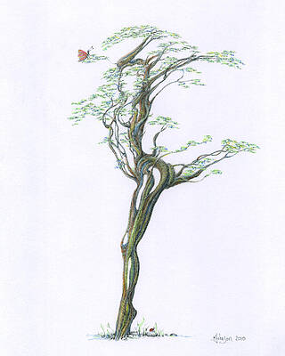 Mark Johnson - Art for Sale | Fine Art America