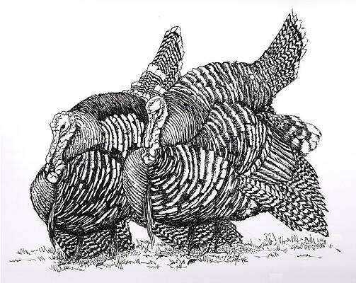 Mckee Drawings - Fine Art America