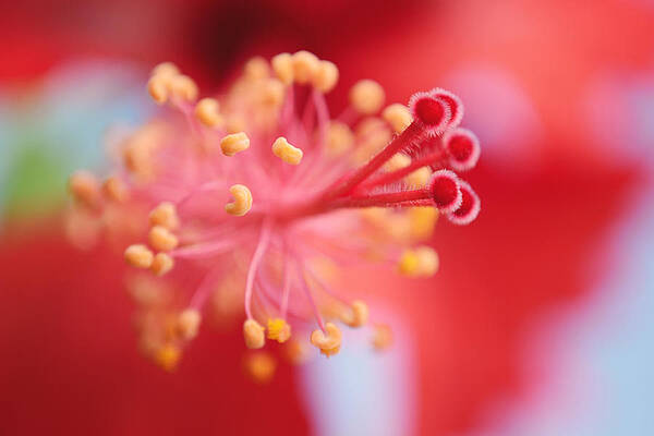 Irreplaceable Art for Sale - Fine Art America