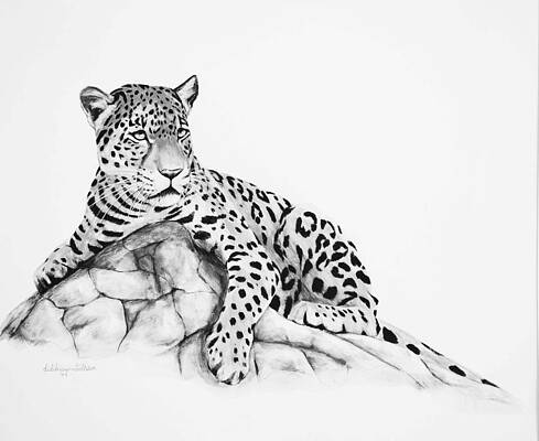 Didi Paintings for Sale - Fine Art America