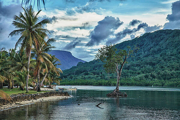 Pohnpei Art - Pixels