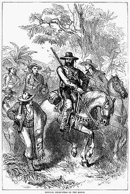 Filibuster Art for Sale - Fine Art America