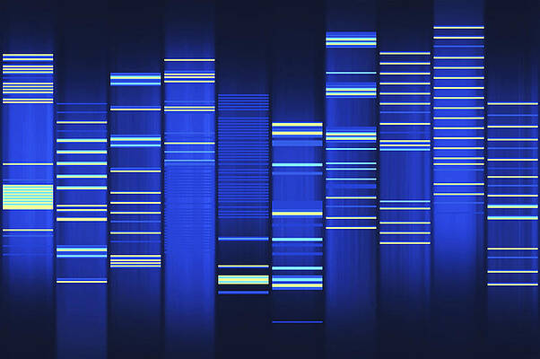 Webpages Art for Sale - Fine Art America