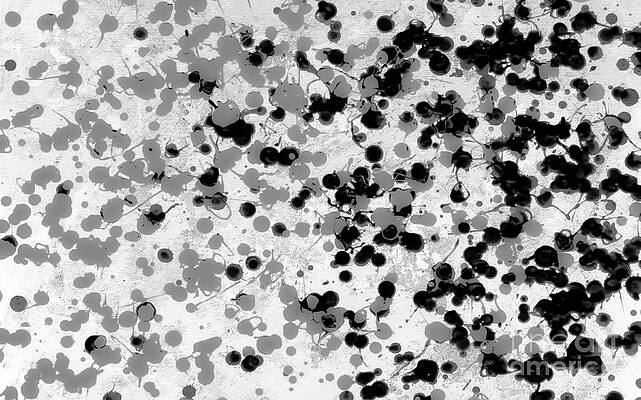 Commingling Art - Fine Art America