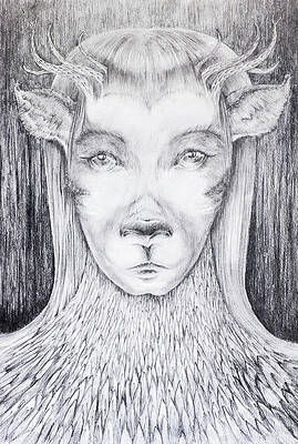 Morphing Drawings - Fine Art America