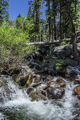 Tyler Marks Art - Fine Art America