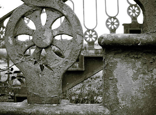 Raddatz Art - Fine Art America