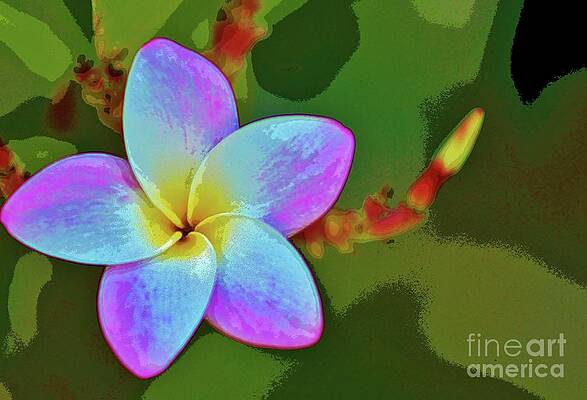 Plumaria Art for Sale - Fine Art America Plumaria Art for Sale - Fine Art America
