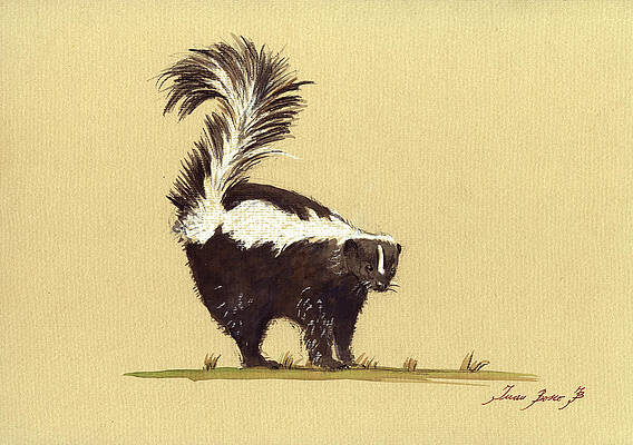 Skunk Art for Sale - Pixels